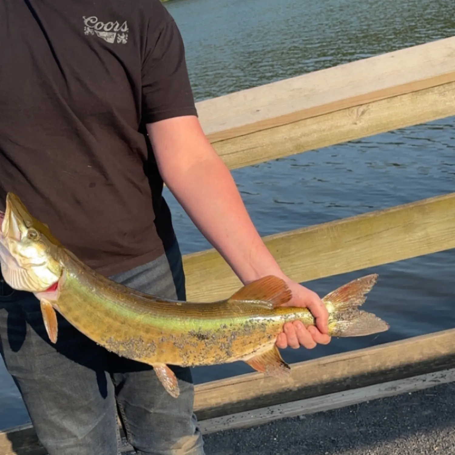 ᐅ Raystown Lake fishing reports🎣• Huntingdon, PA (United States) fishing