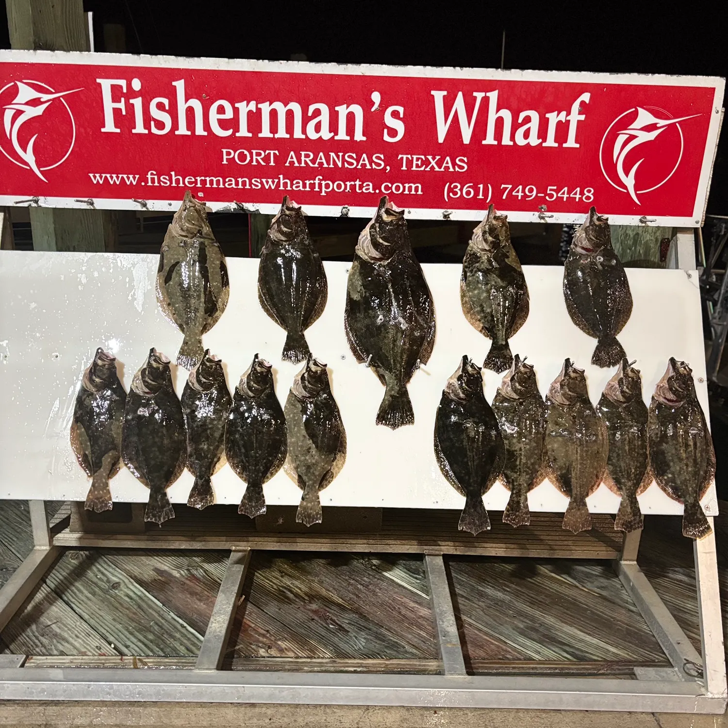 ᐅ Port Aransas fishing reports🎣• Ingleside, TX (United States) fishing