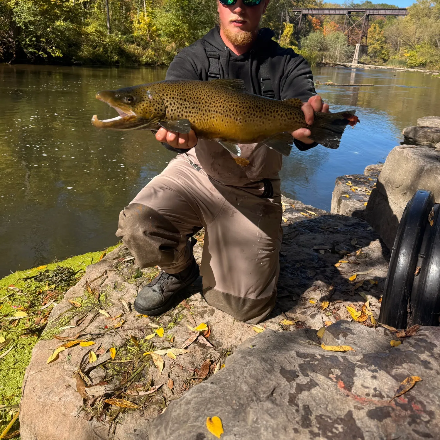 ᐅ Burt Dam fishing reports🎣• Lockport, NY (United States) fishing