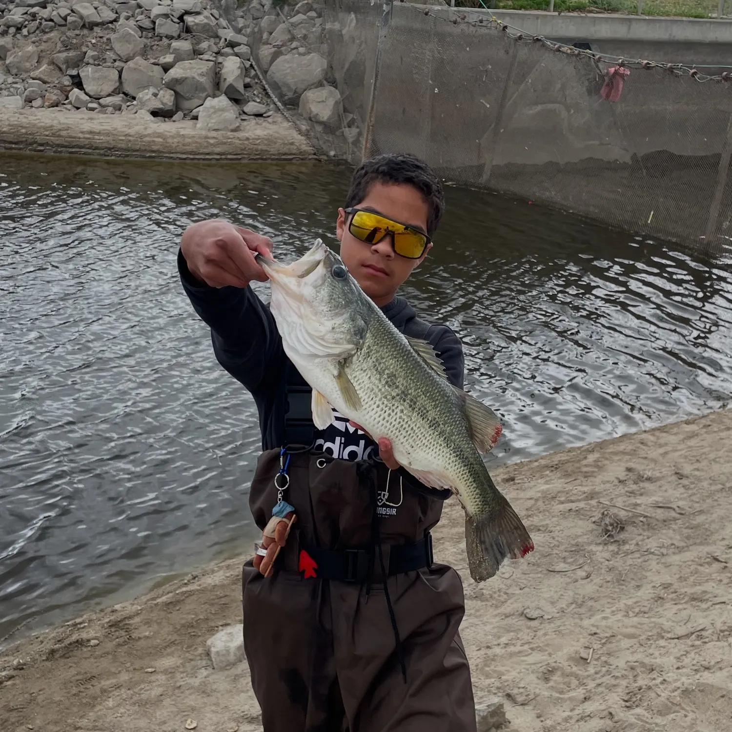 ᐅ Santa Ana River Lakes fishing reports🎣• Anaheim, CA (United States ...