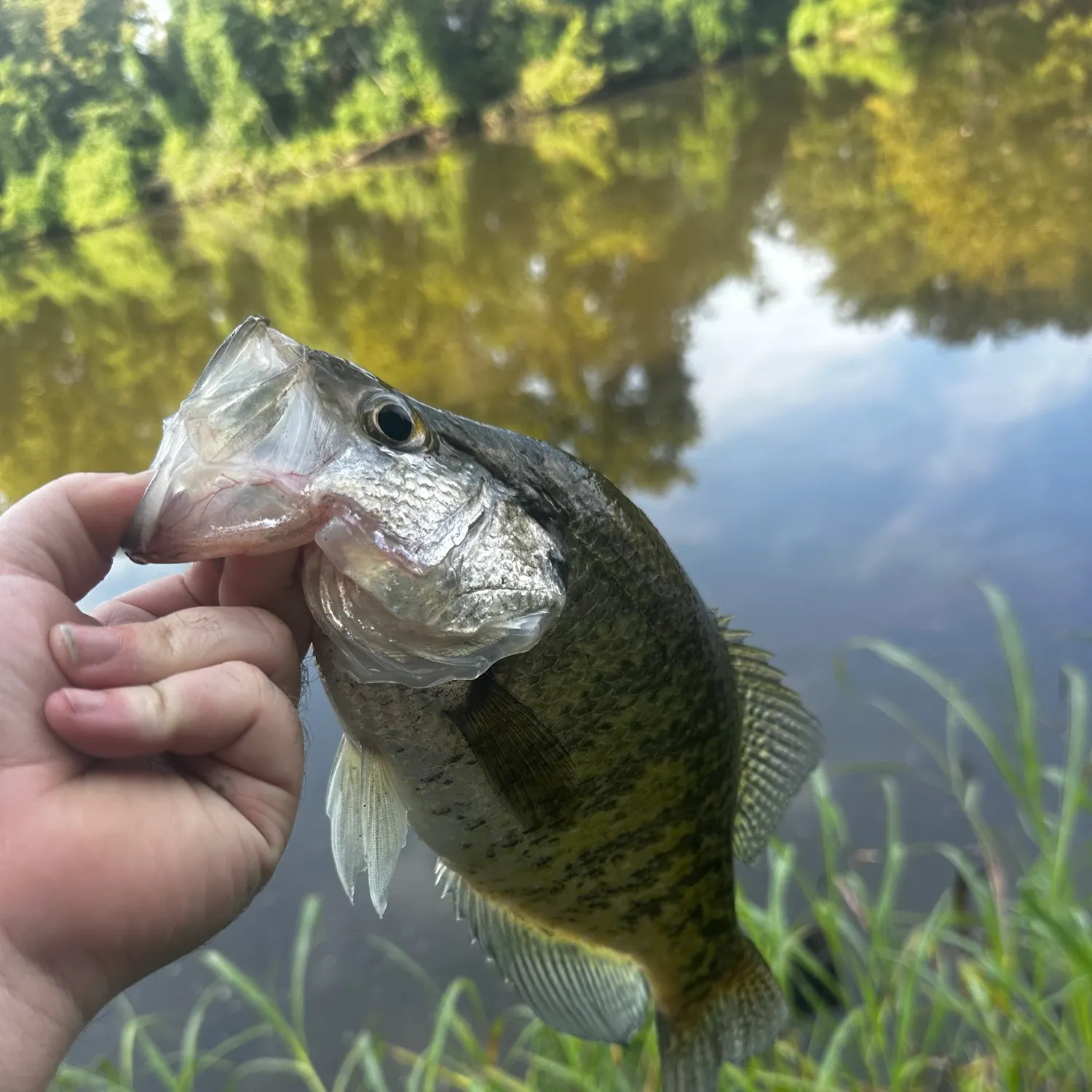 Fishing in Tulsa, OK (United States) ️️️️ Find Spots, Species & Tips