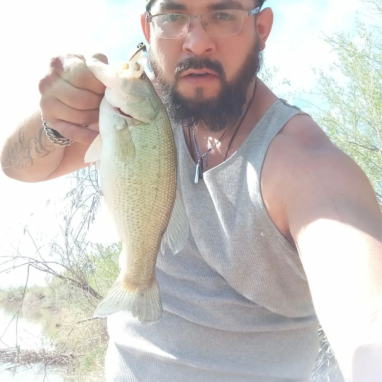 Fishing in Albuquerque, NM (United States) ️️️️ Find Spots, Species & Tips