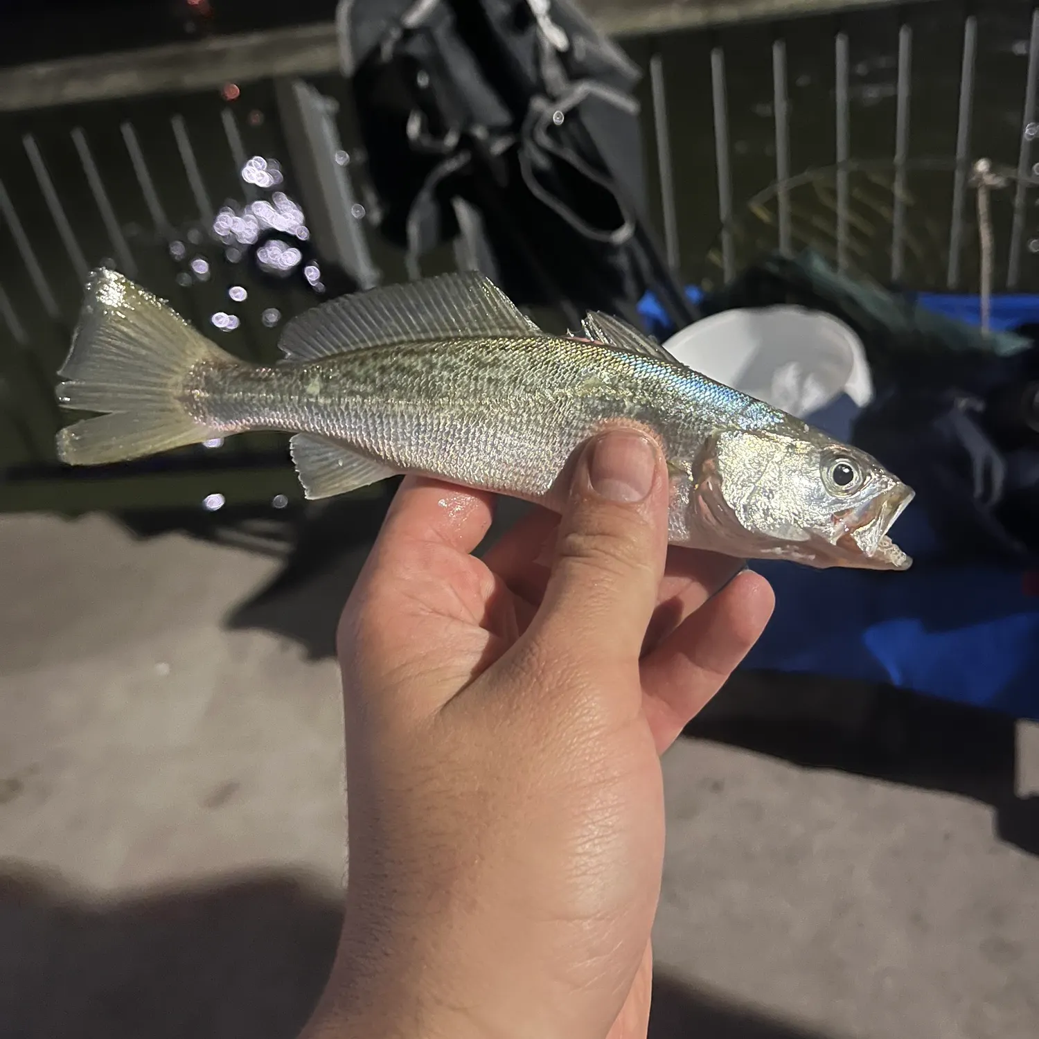 ᐅ James River Fishing Pier fishing reports🎣• Hampton, VA (United States ...