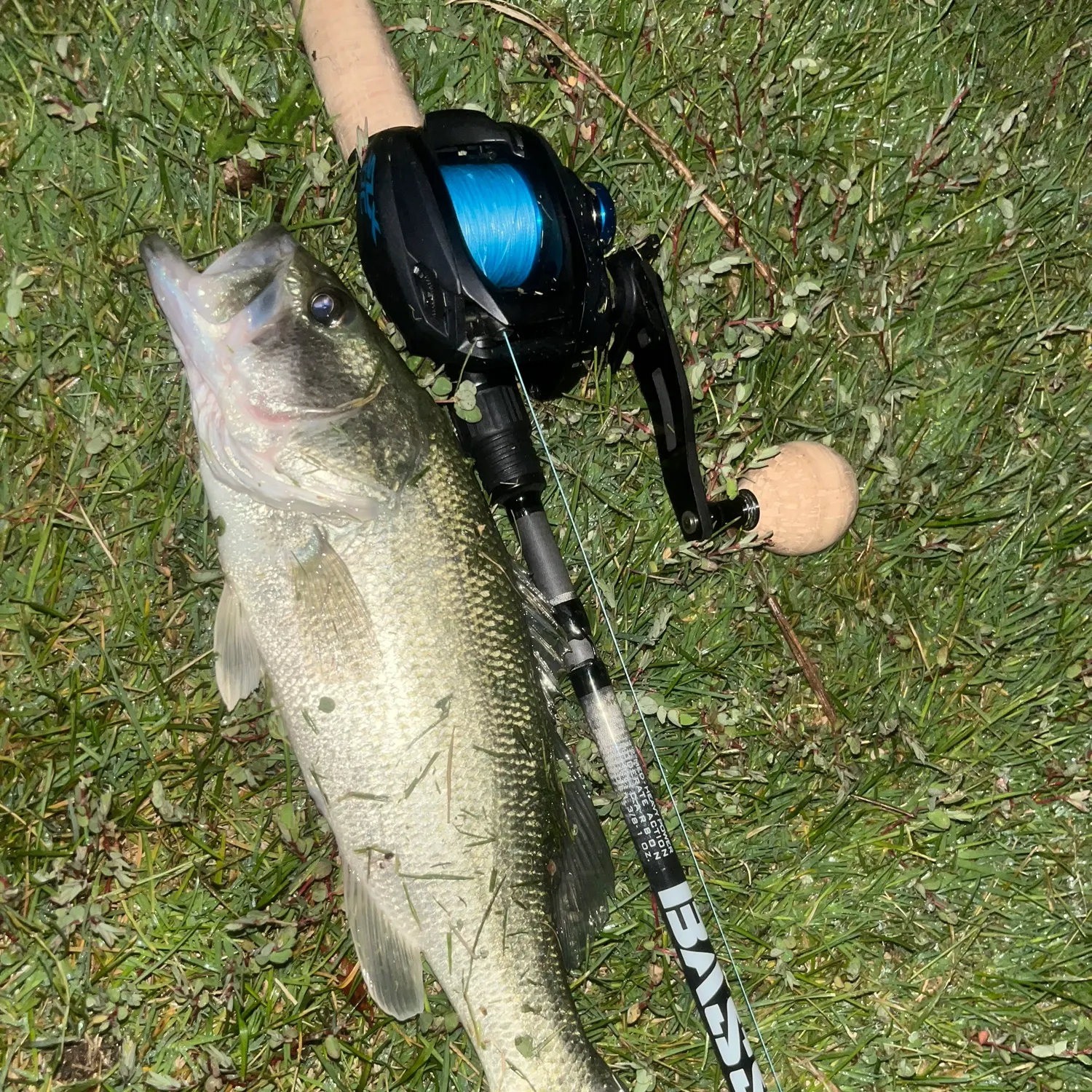 Fishing in Albuquerque, NM (United States) ️️️️ Find Spots, Species & Tips