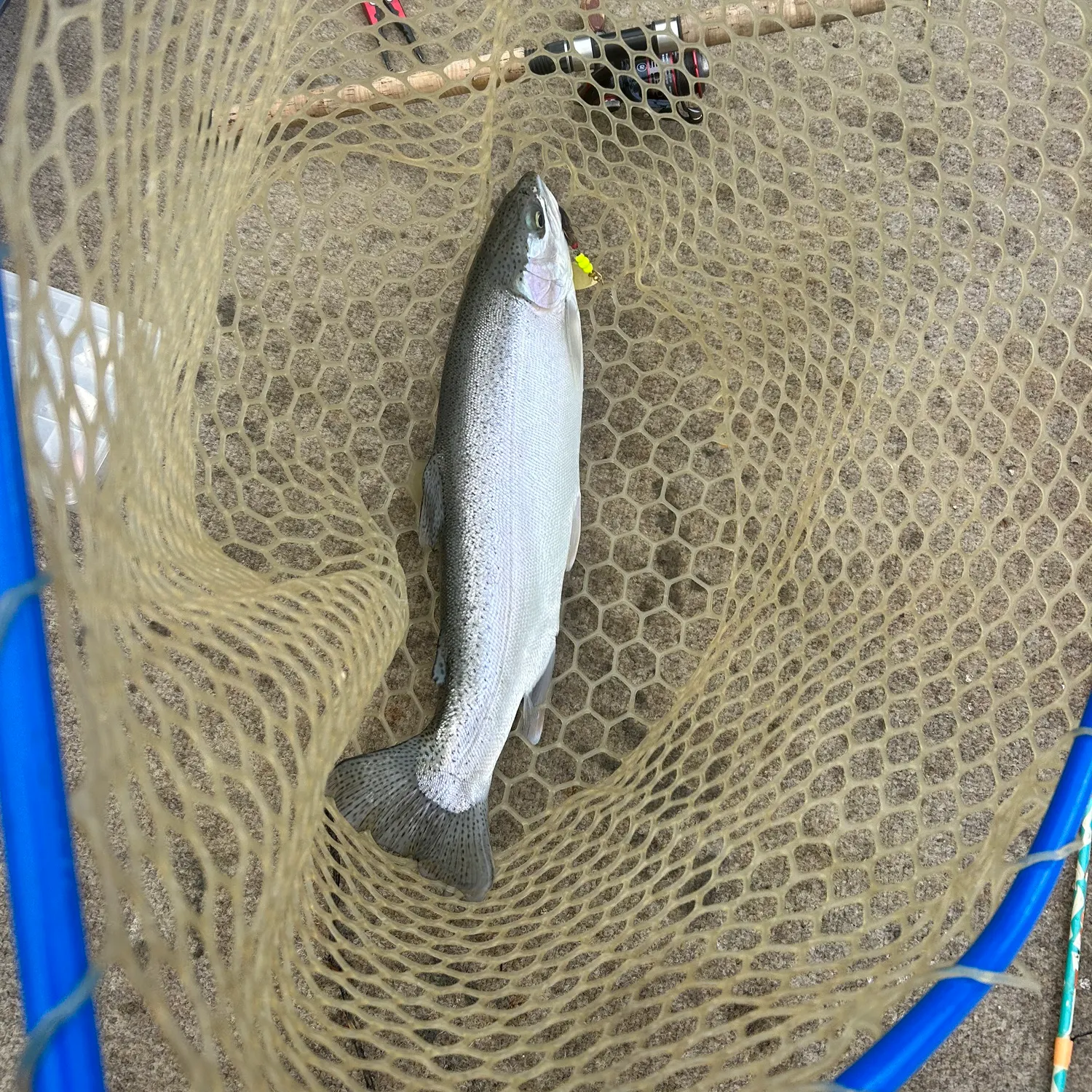 ᐅ Chagrin River fishing reports🎣• Mayfield Heights, OH (United States ...