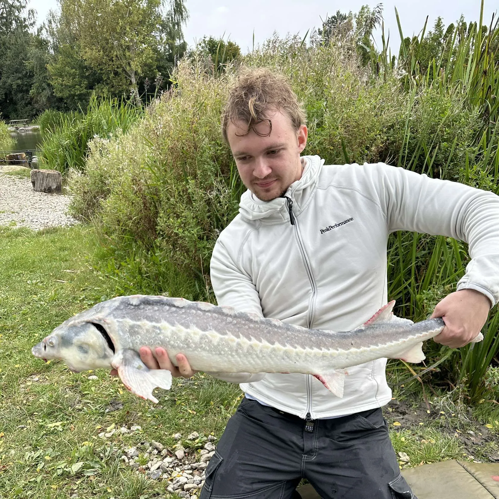 Fishing for Beluga sturgeon near you