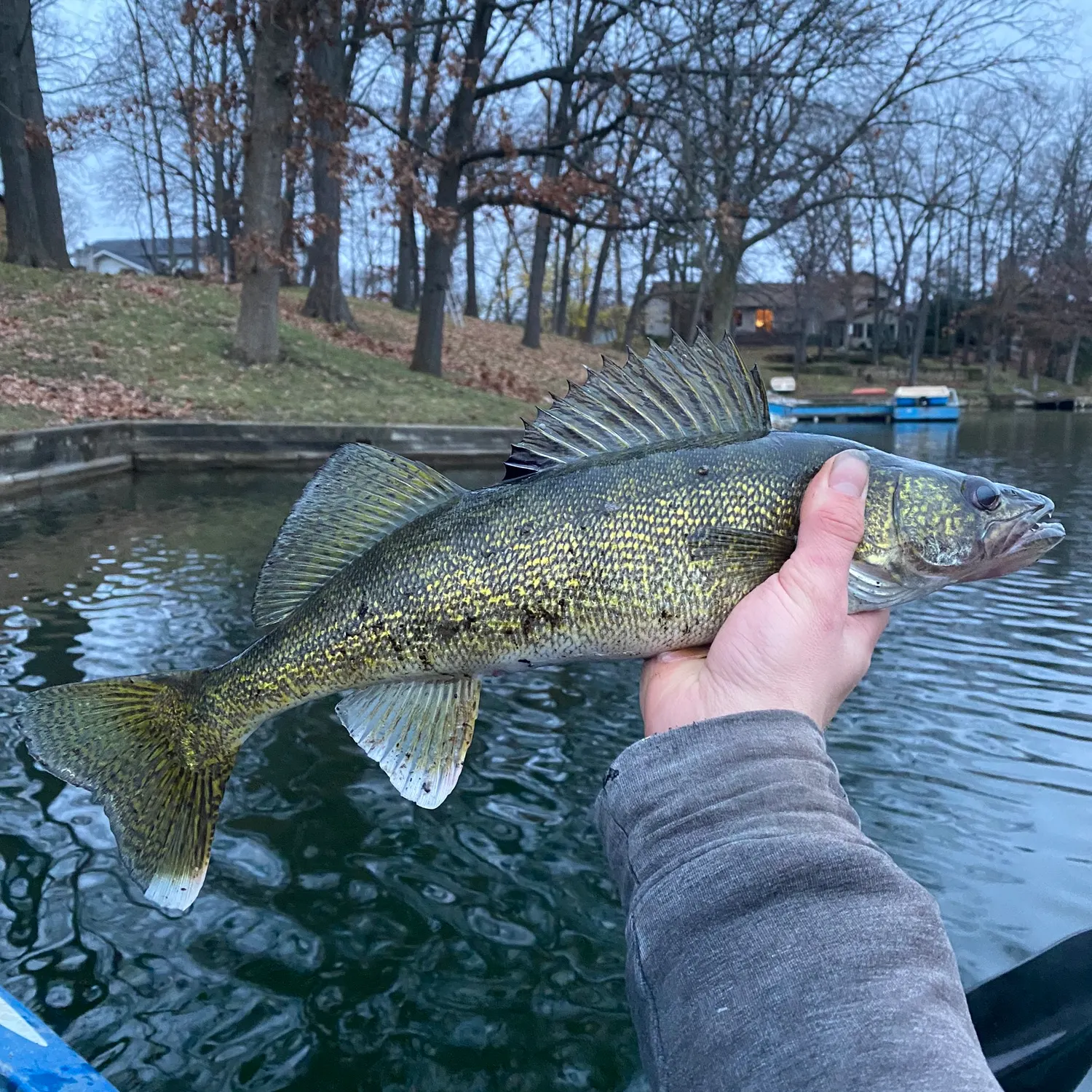 Fishing in Peoria, IL (United States) ️️️️ Find Spots, Species & Tips