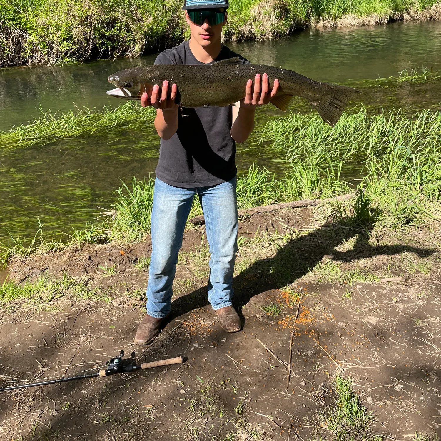 ᐅ Cowlitz River fishing reports🎣• Longview, WA (United States) fishing