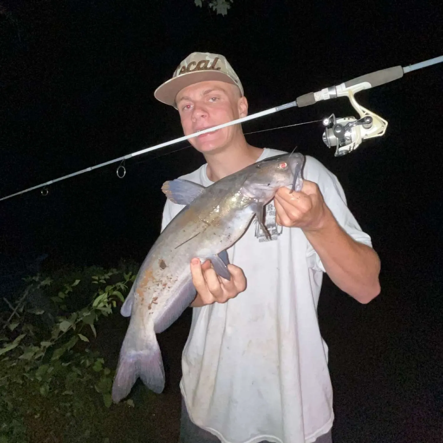 Fishing in Raleigh, NC (United States) ️️️️ Find Spots, Species & Tips