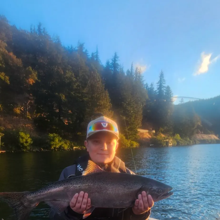 ᐅ Drano Lake fishing reports🎣• Hood River, WA (United States) fishing