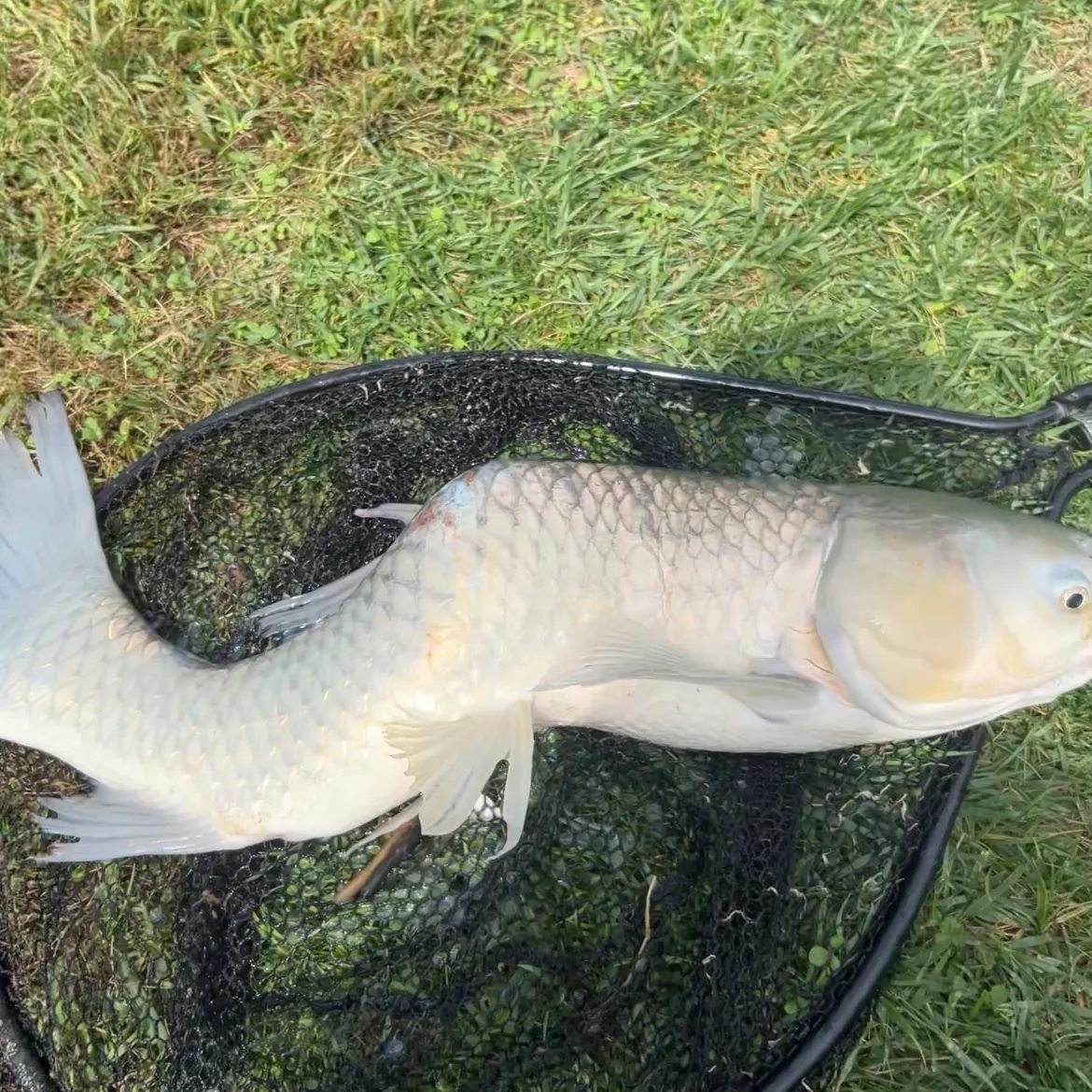 Fishing in Omaha, NE (United States) ️️️️ Find Spots, Species & Tips