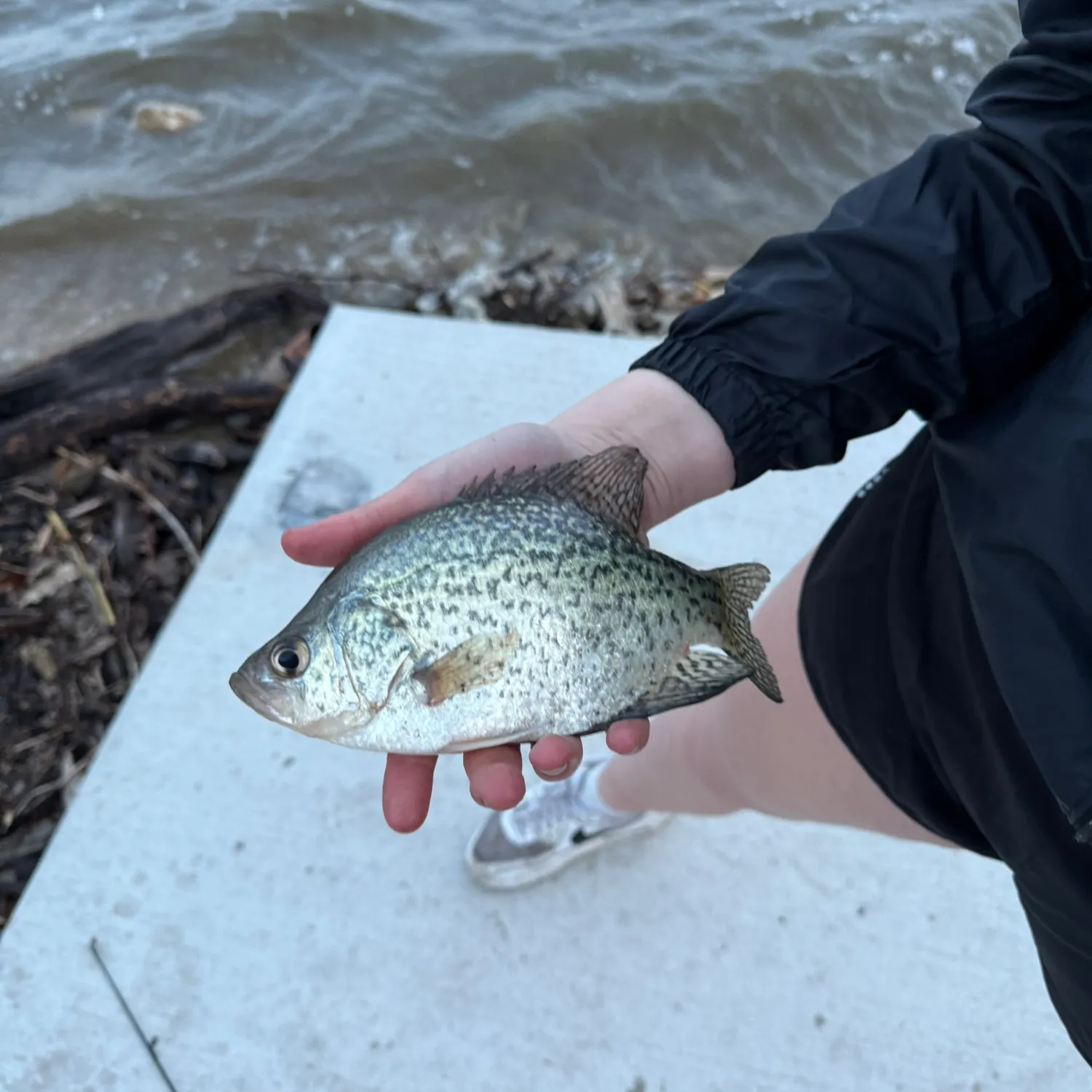 ᐅ Beaver Dam Lake fishing reports🎣• Beaver Dam, WI (United States) fishing