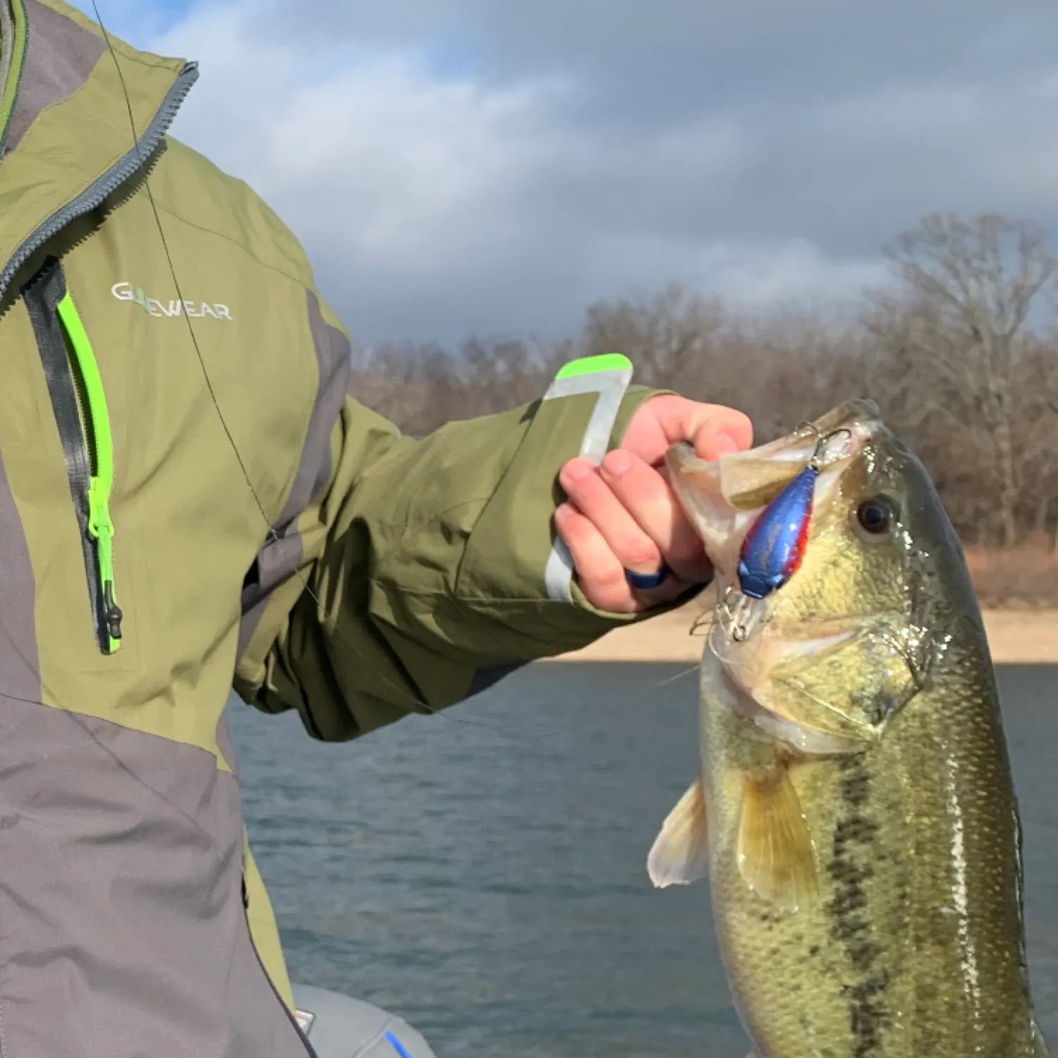 ᐅ Stockton Lake fishing reports🎣• Bolivar, MO (United States) fishing