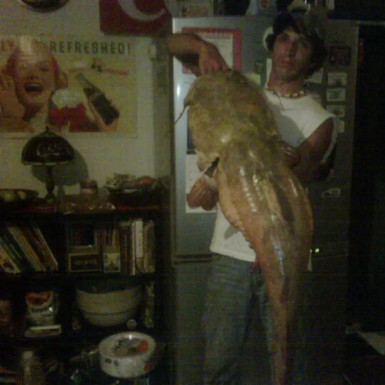 ᐅ Bee Lake fishing reports🎣• Yazoo City, MS (United States) fishing