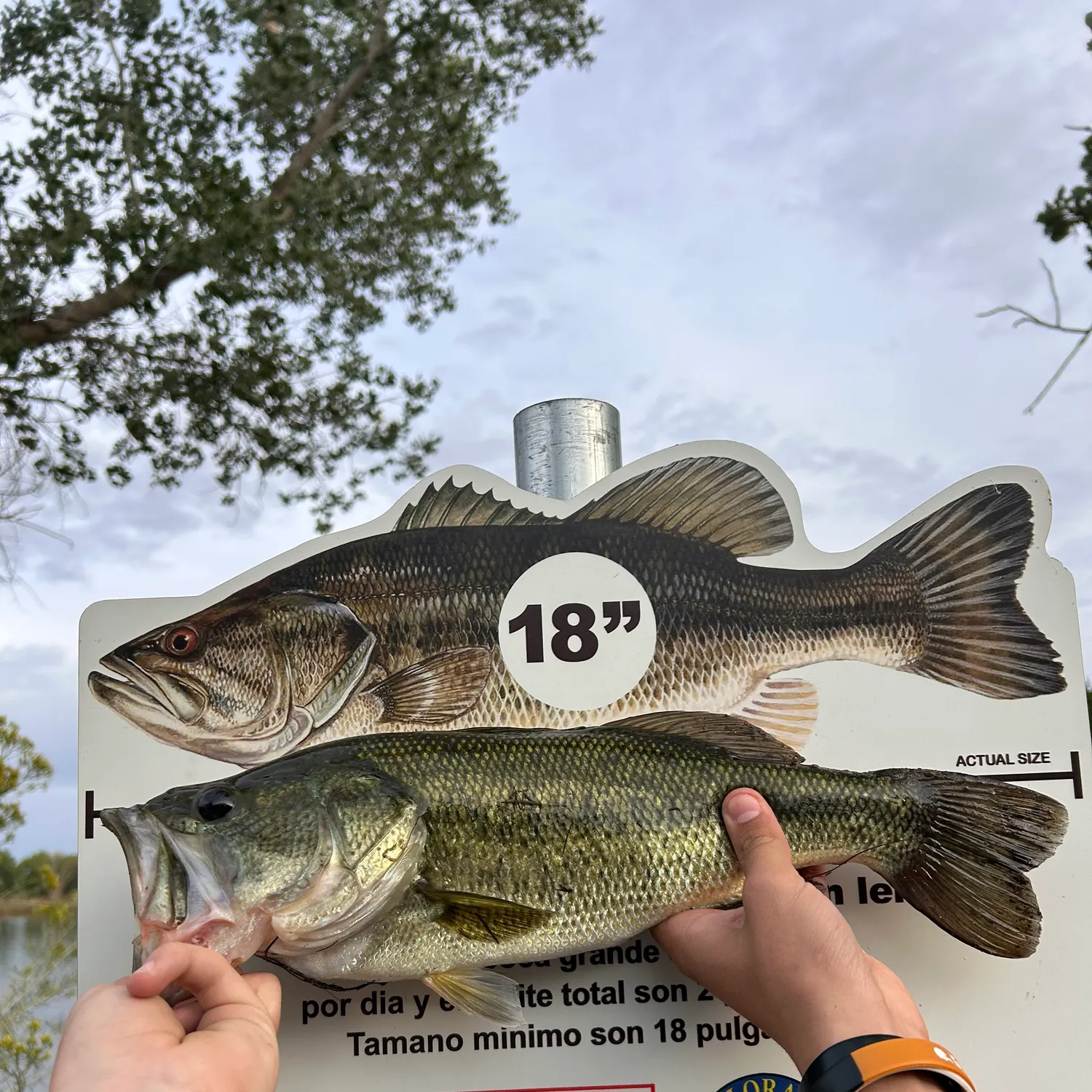 Fishing in Grand Junction, CO (United States) ️️️️ Find Spots, Species ...