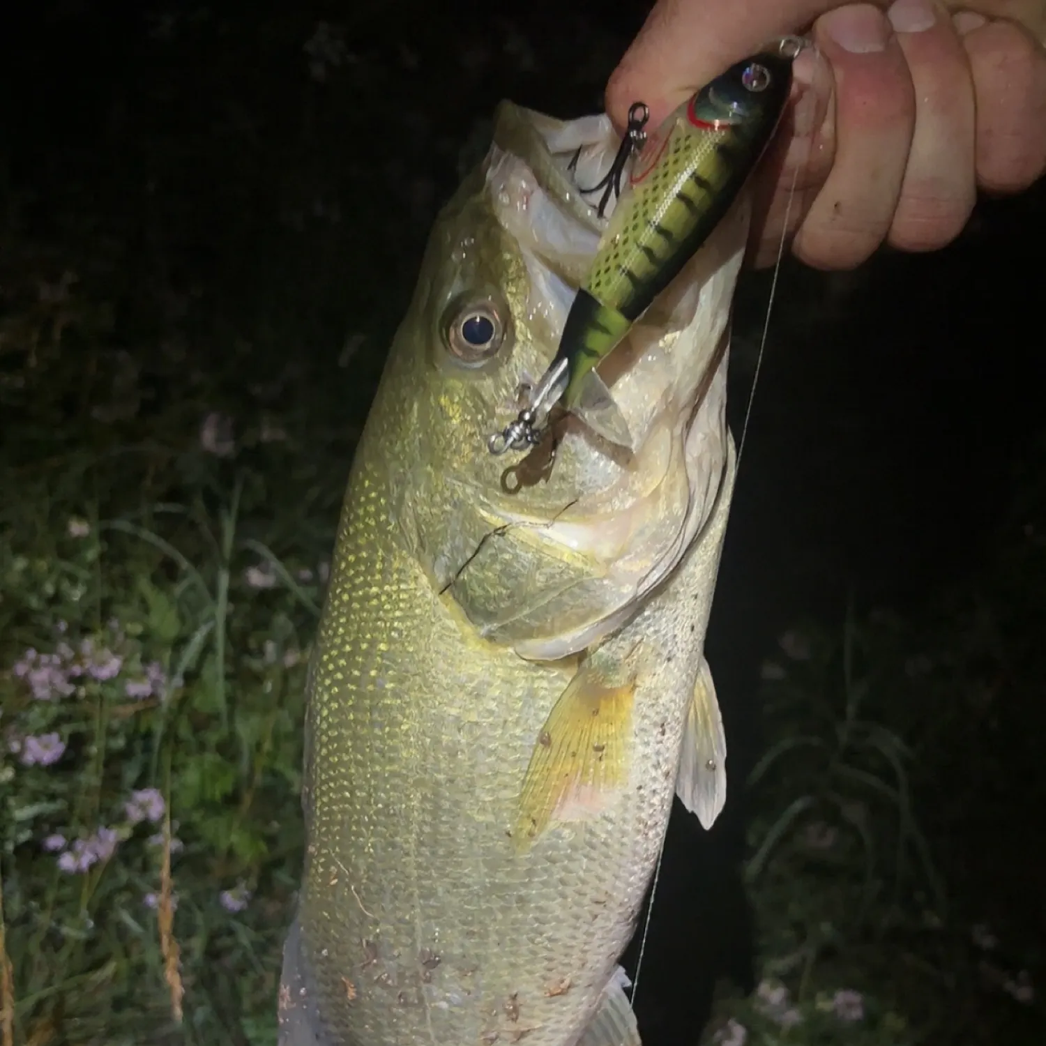 Fishing in Dayton, OH (United States) ️️️️ Find Spots, Species & Tips