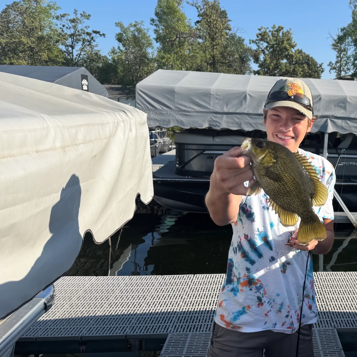 ᐅ Cass Lake fishing reports🎣• Bemidji, MN (United States) fishing
