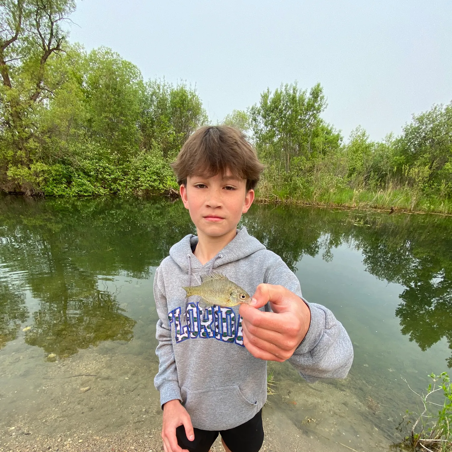 ᐅ Reynolds Ponds fishing reports🎣• Manitoba, Canada fishing