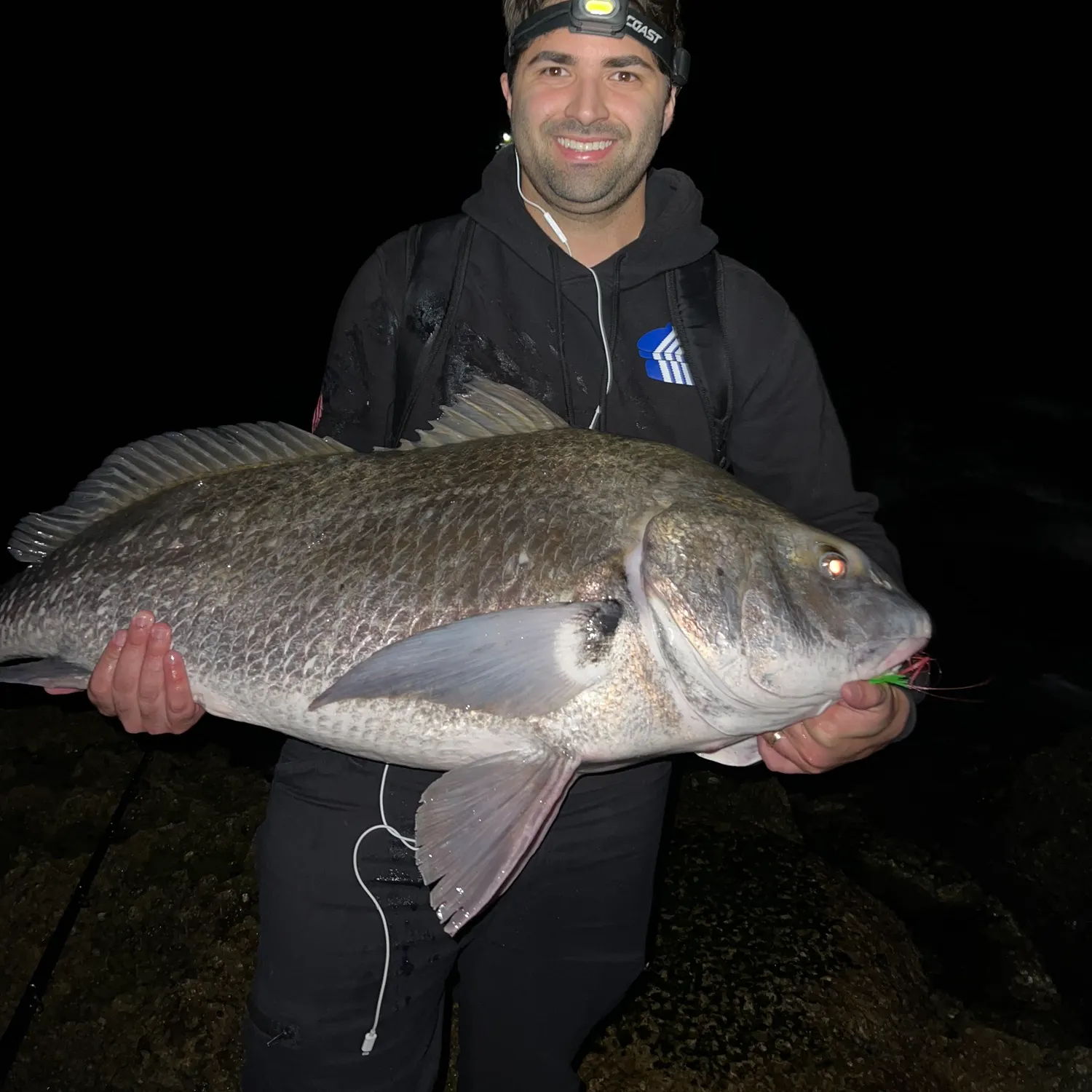 ᐅ Sebastian Inlet fishing reports🎣• Sebastian, FL (United States) fishing