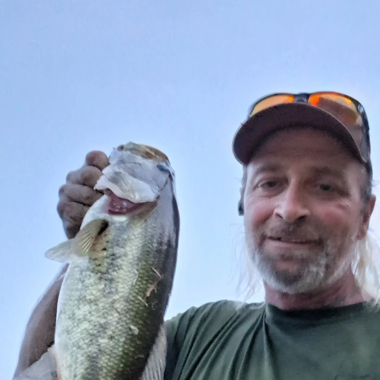 Fishing in Memphis, TN (United States) ️️️️ Find Spots, Species & Tips