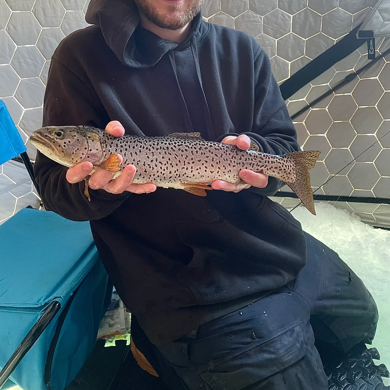 ᐅ Strawberry Reservoir fishing reports🎣• Springville, UT (United States ...