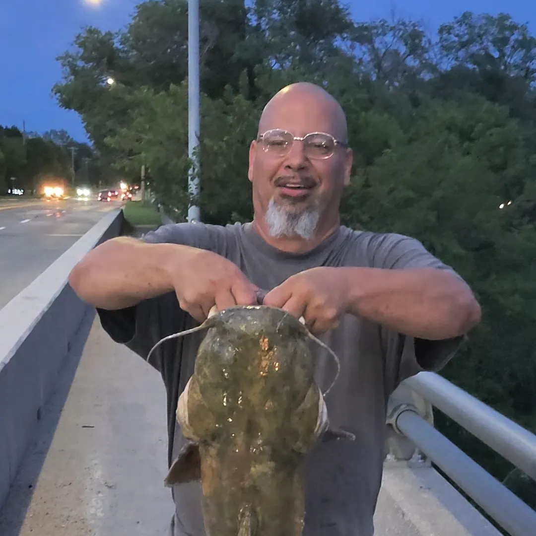 Fishing in Wichita, KS (United States) ️️️️ Find Spots, Species & Tips