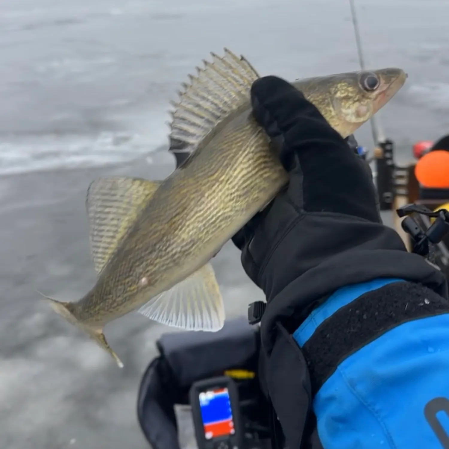 ᐅ Lake Poygan fishing reports🎣• Oshkosh, WI (United States) fishing