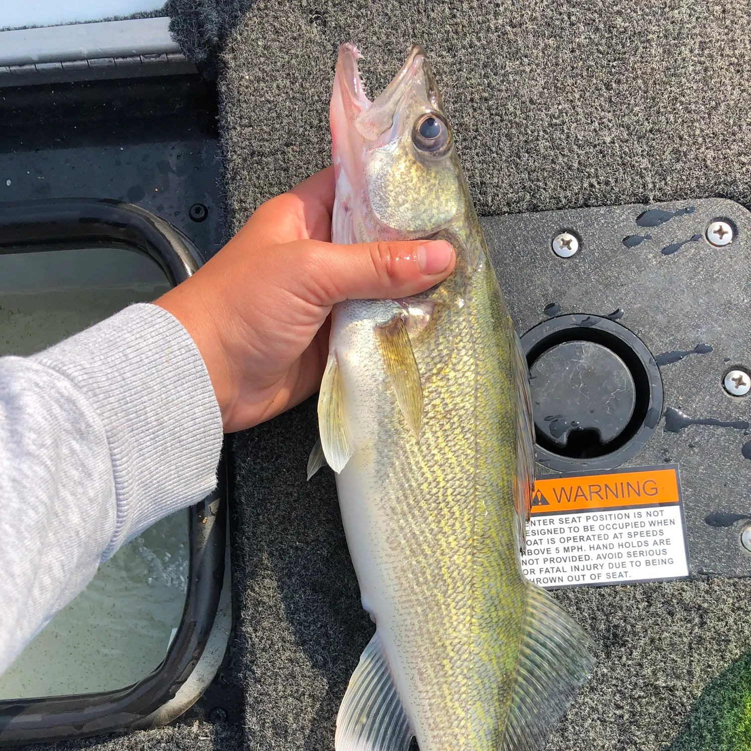 Fishing for Walleye near you