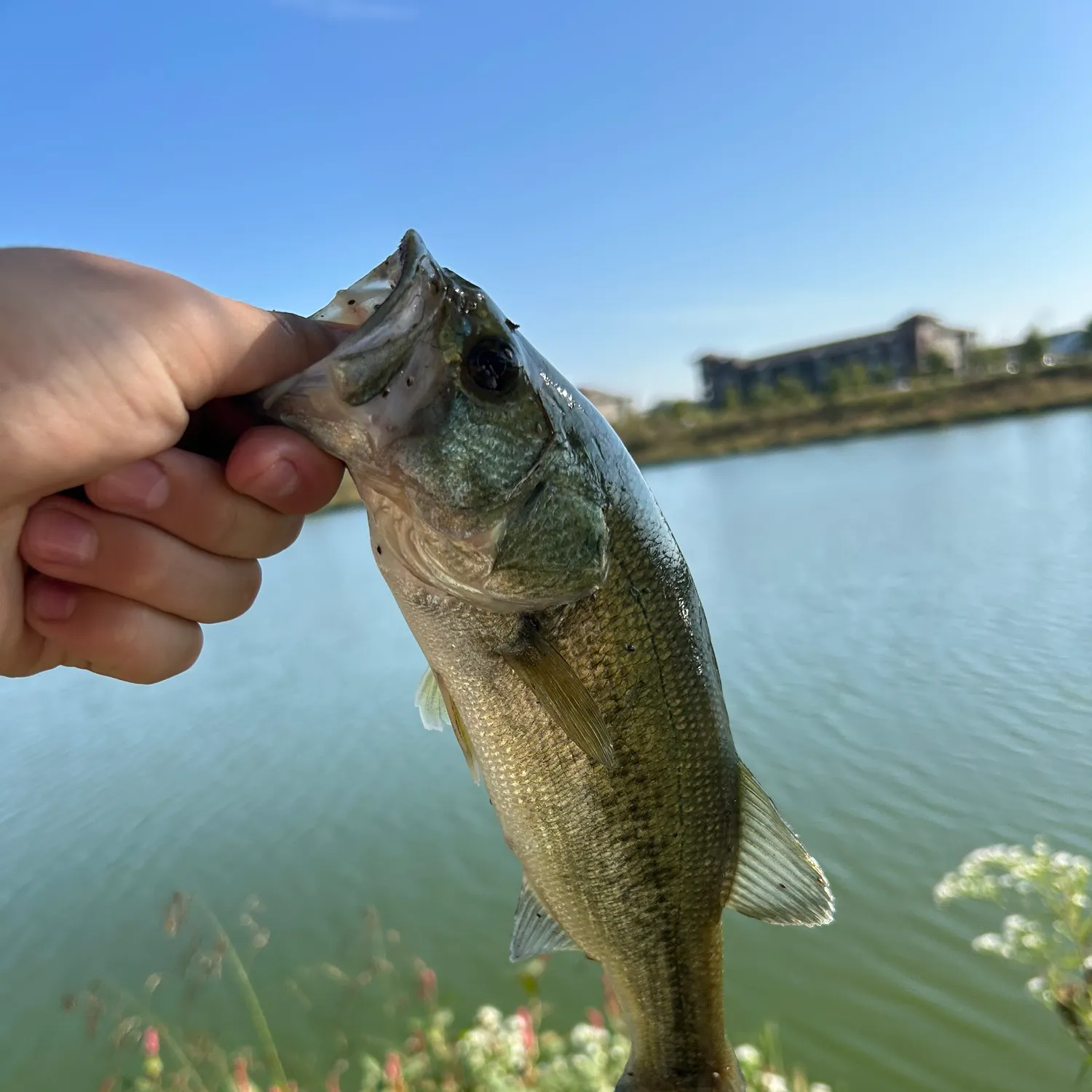 Fishing in Omaha, NE (United States) ️️️️ Find Spots, Species & Tips