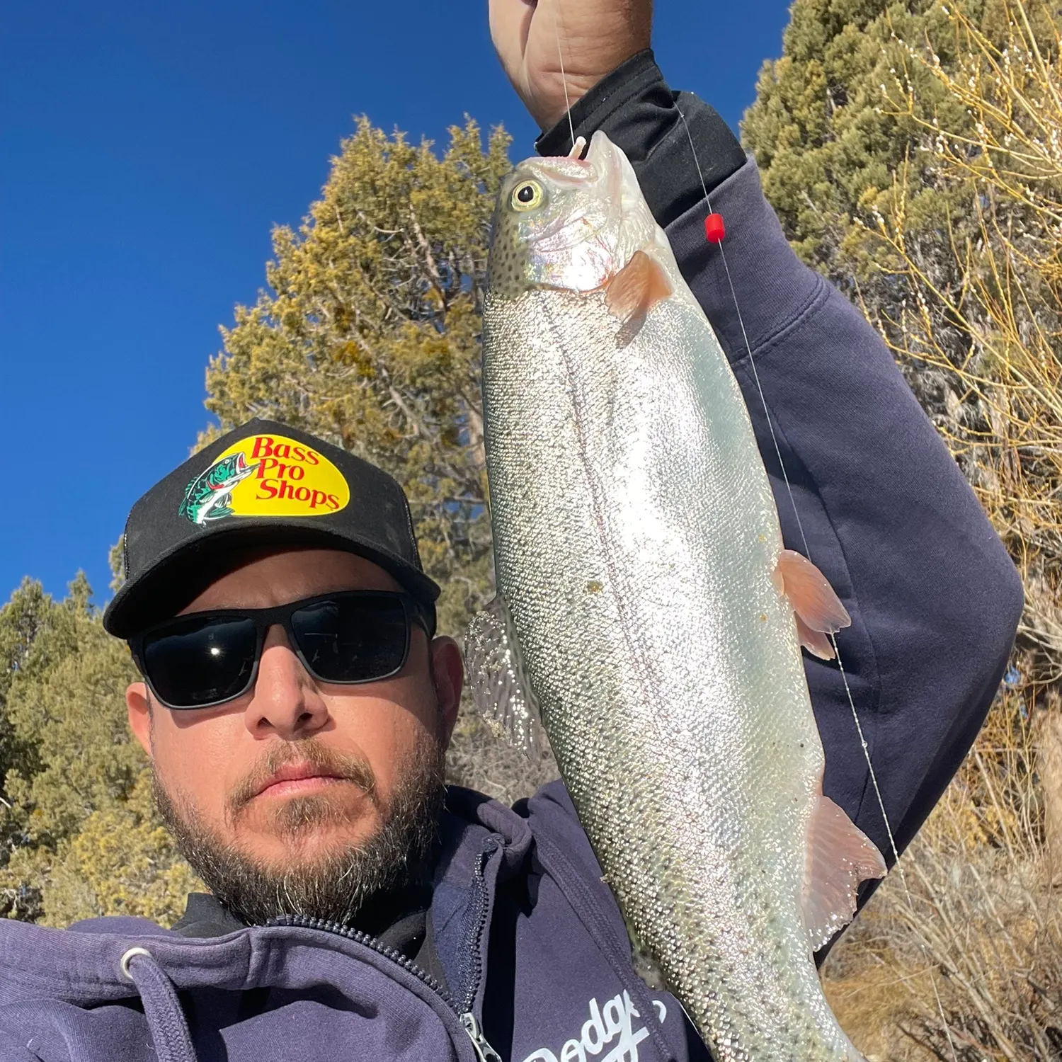 ᐅ Big Bear Lake fishing reports🎣• Big Bear City, CA (United States) fishing