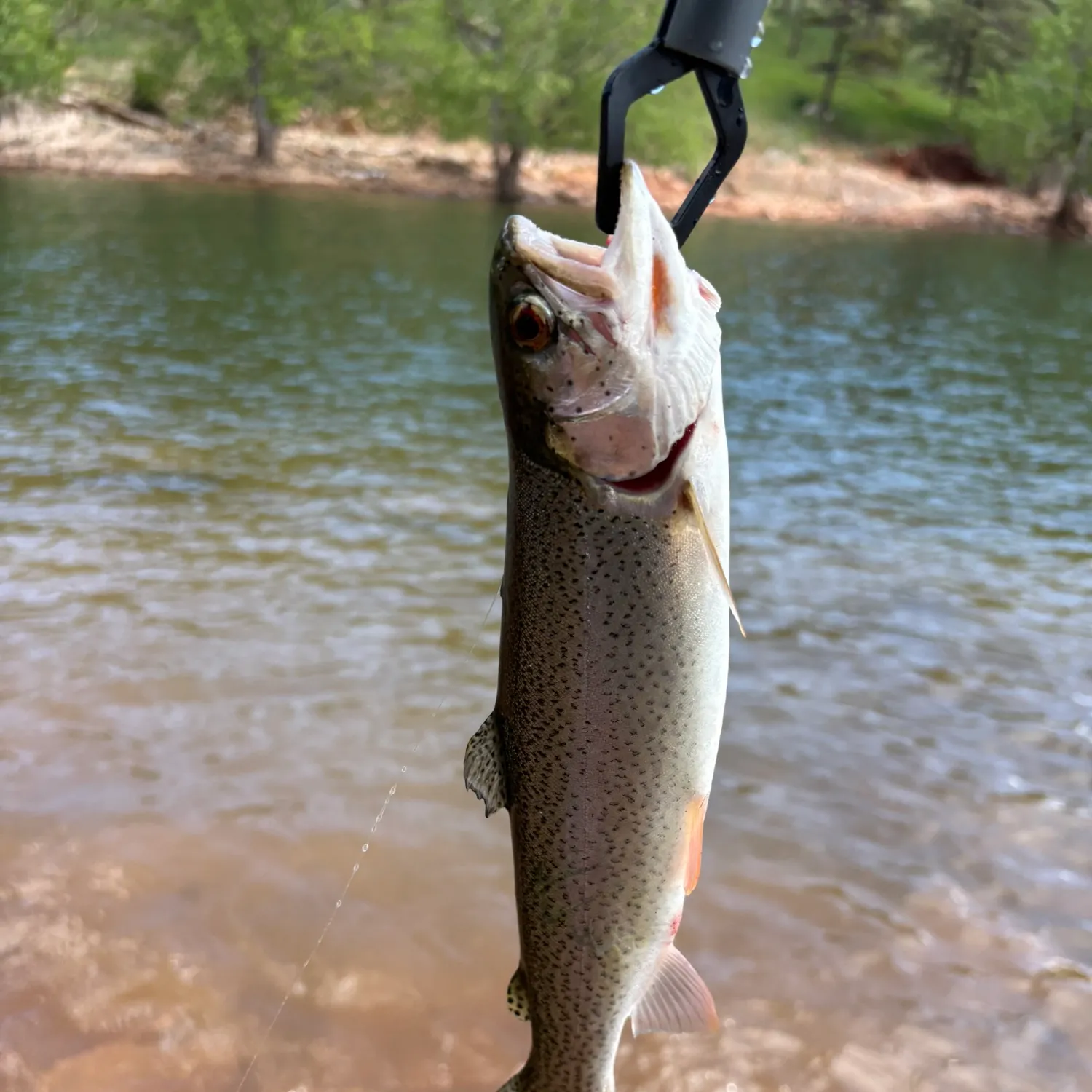 ᐅ Carter Lake Reservoir fishing reports🎣• Loveland, CO (United States ...
