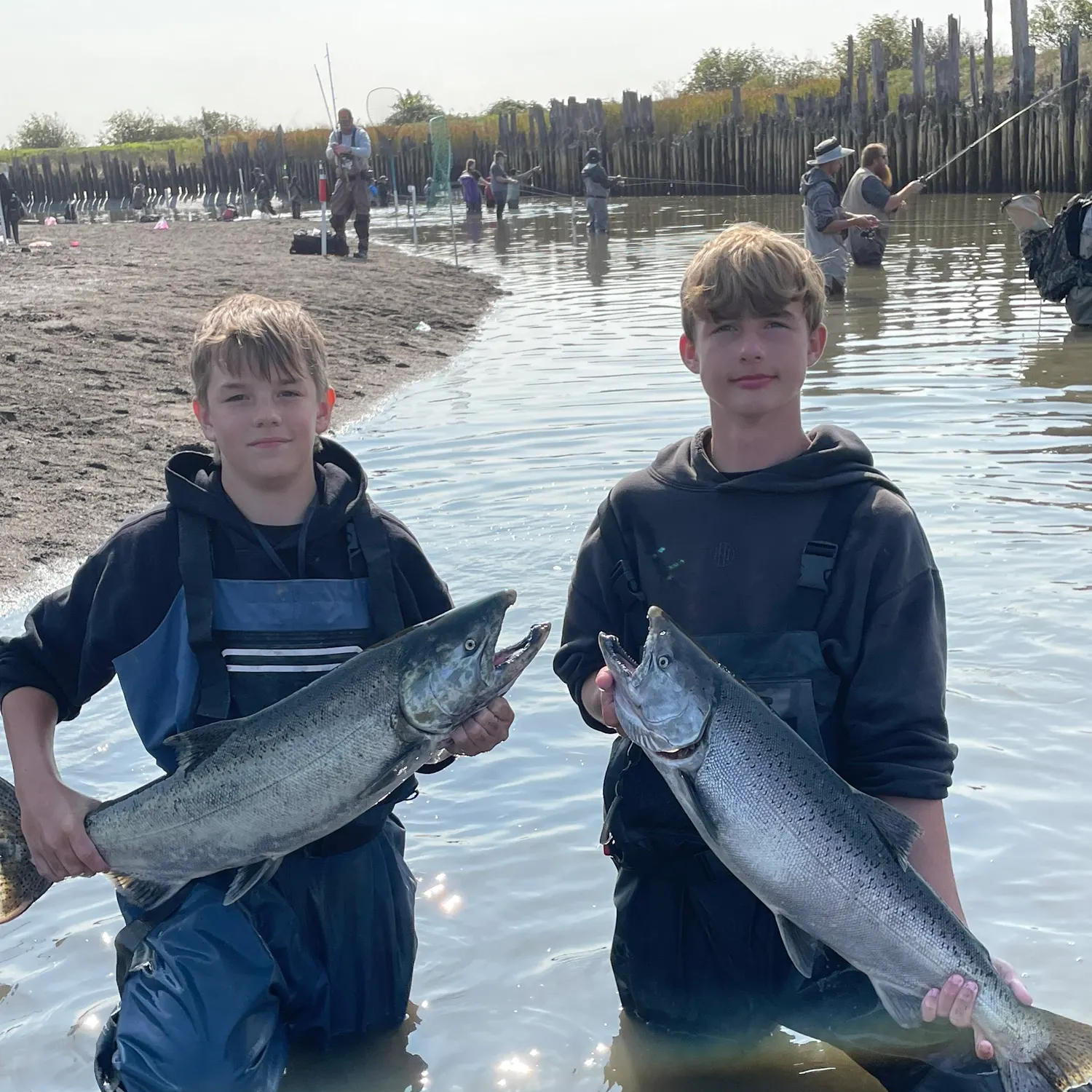 ᐅ Samish River fishing reports🎣• Sedro-Woolley, WA (United States) fishing