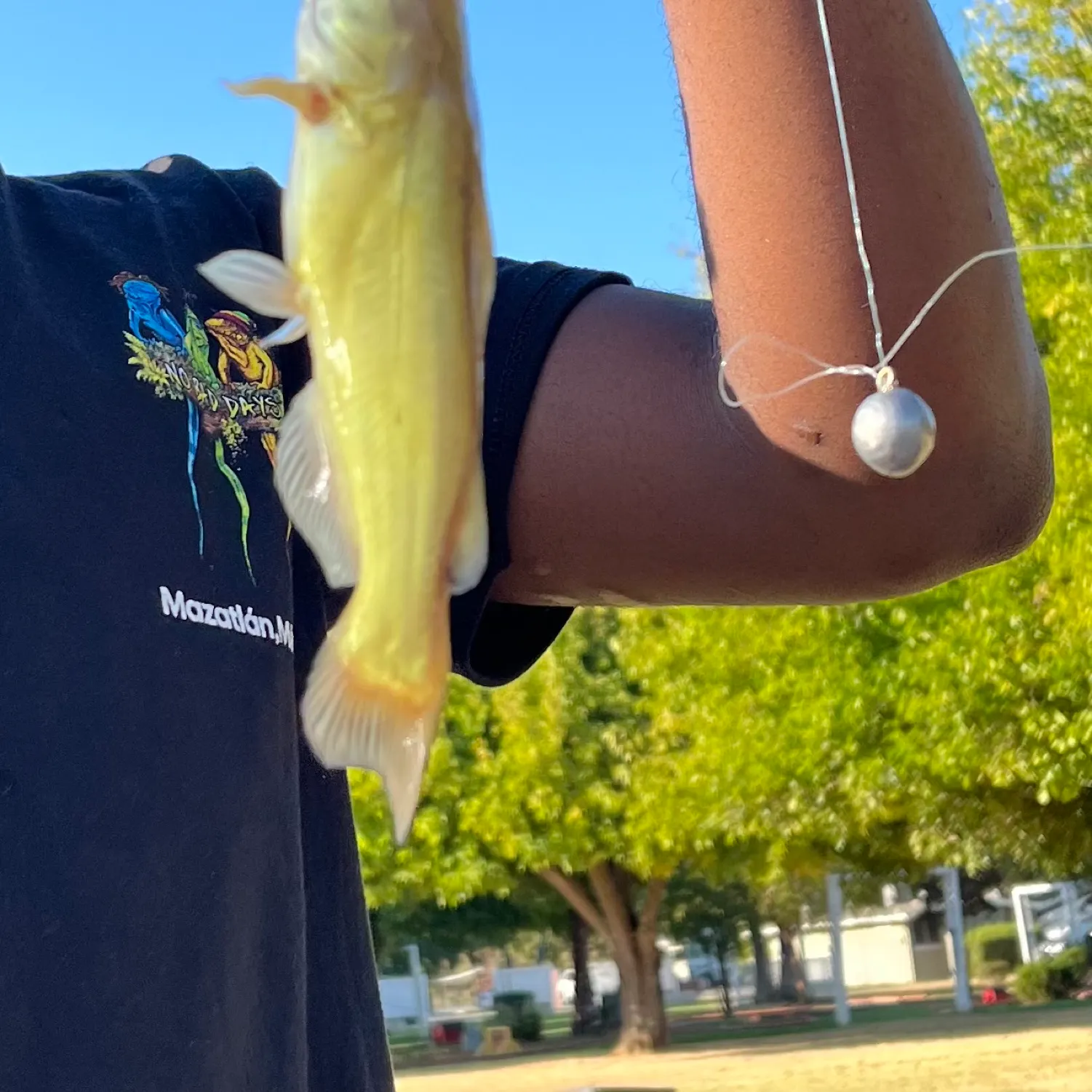 ᐅ Lake Minden fishing reports🎣• Olivehurst, CA (United States) fishing