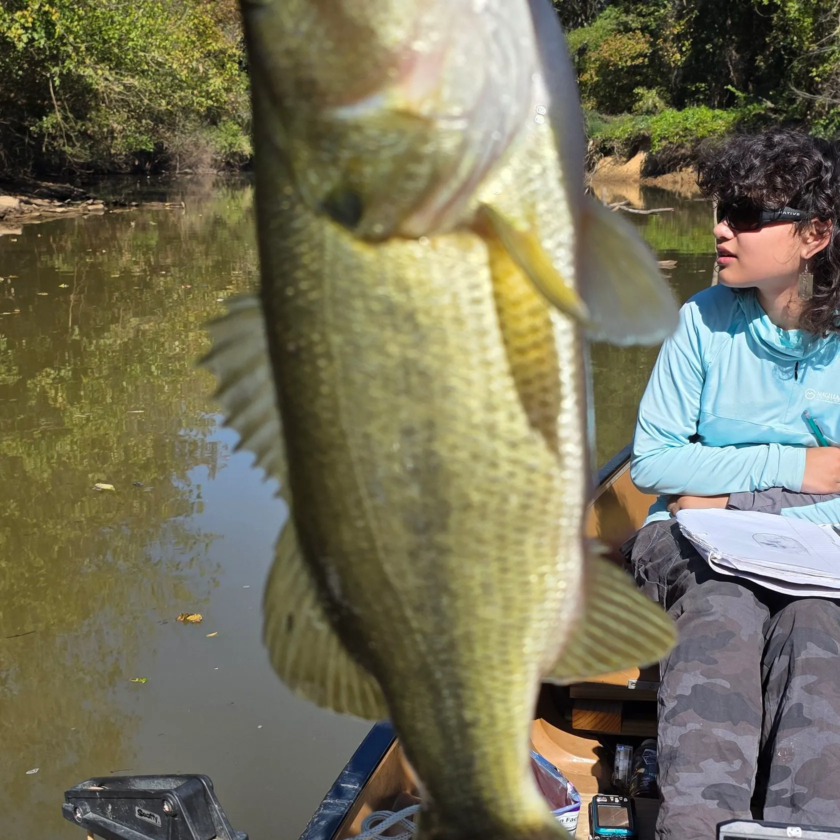 Fishing in Raleigh, NC (United States) ️️️️ Find Spots, Species & Tips