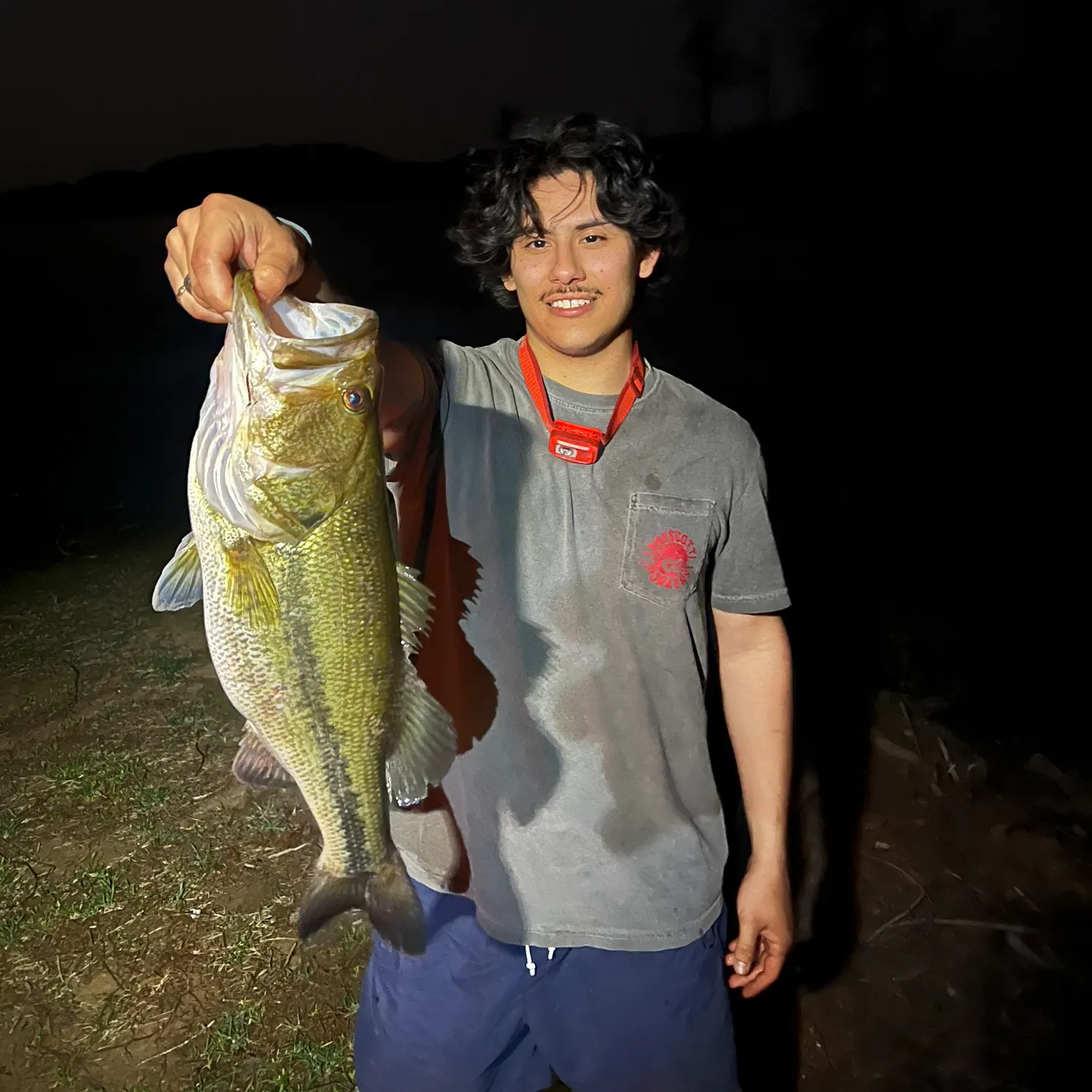 ᐅ Caddo Lake fishing reports🎣• Shreveport, LA (United States) fishing