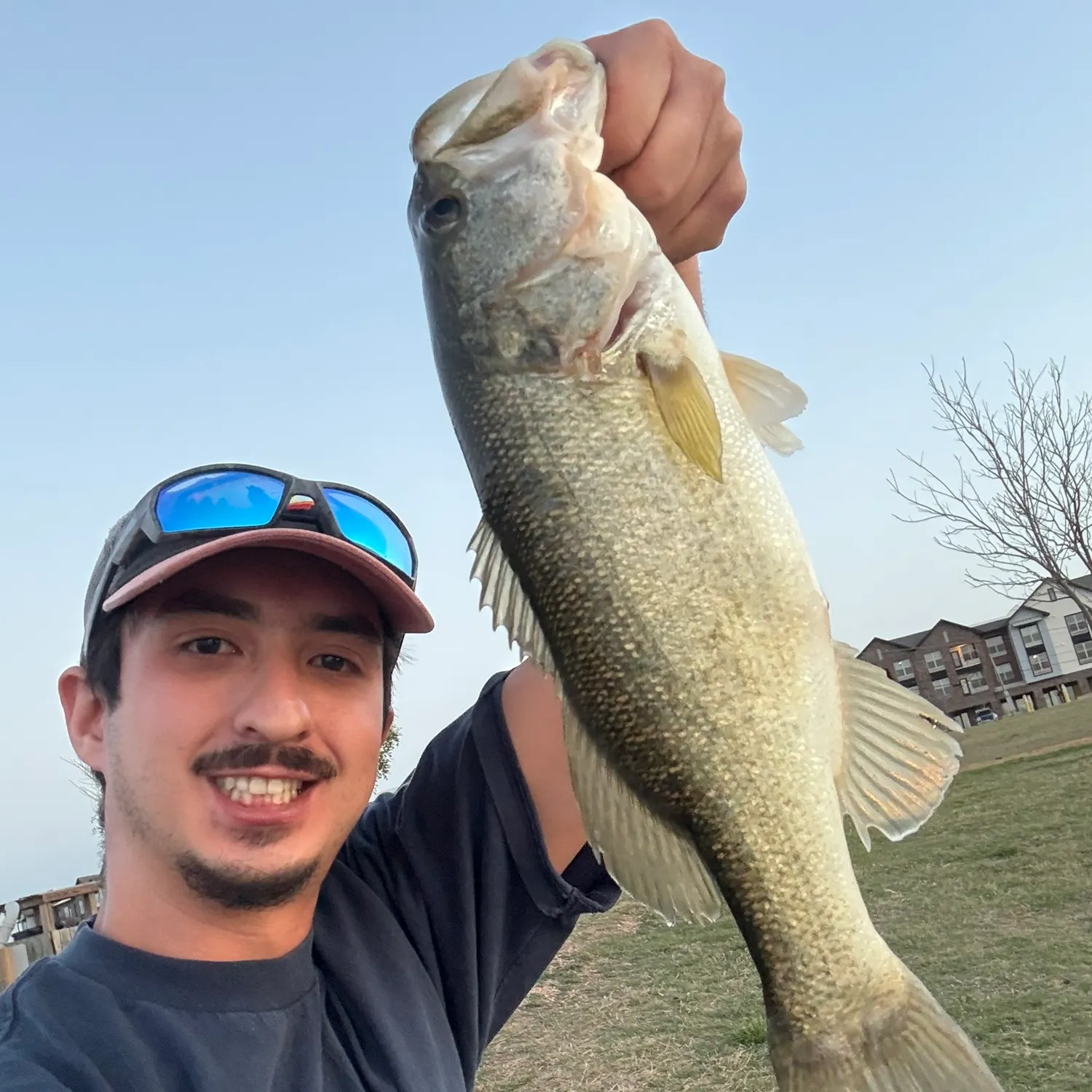ᐅ Lake Pflugerville fishing reports🎣• Pflugerville, TX (United States ...