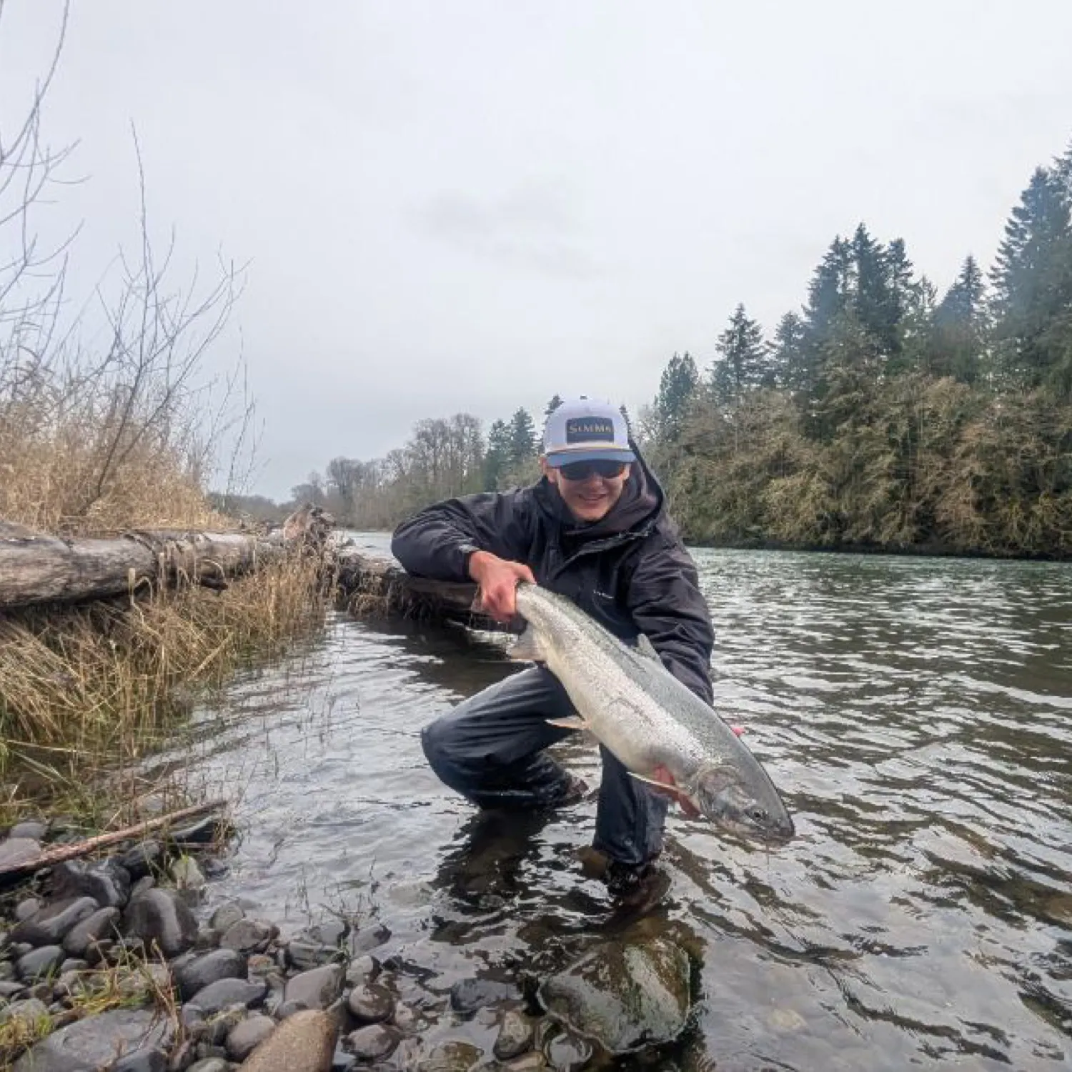 ᐅ Cowlitz River fishing reports🎣• Longview, WA (United States) fishing