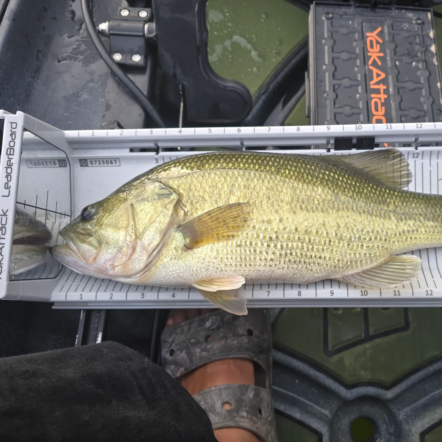 Fishing in Omaha, NE (United States) ️️️️ Find Spots, Species & Tips