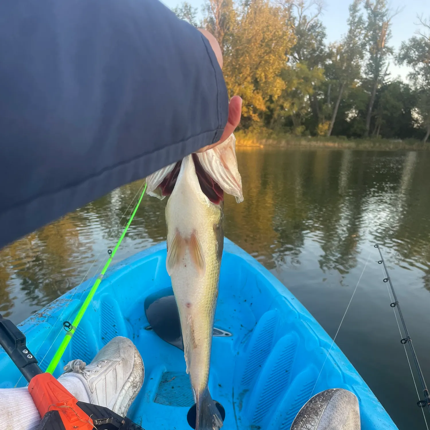 Fishing in Omaha, NE (United States) ️️️️ Find Spots, Species & Tips