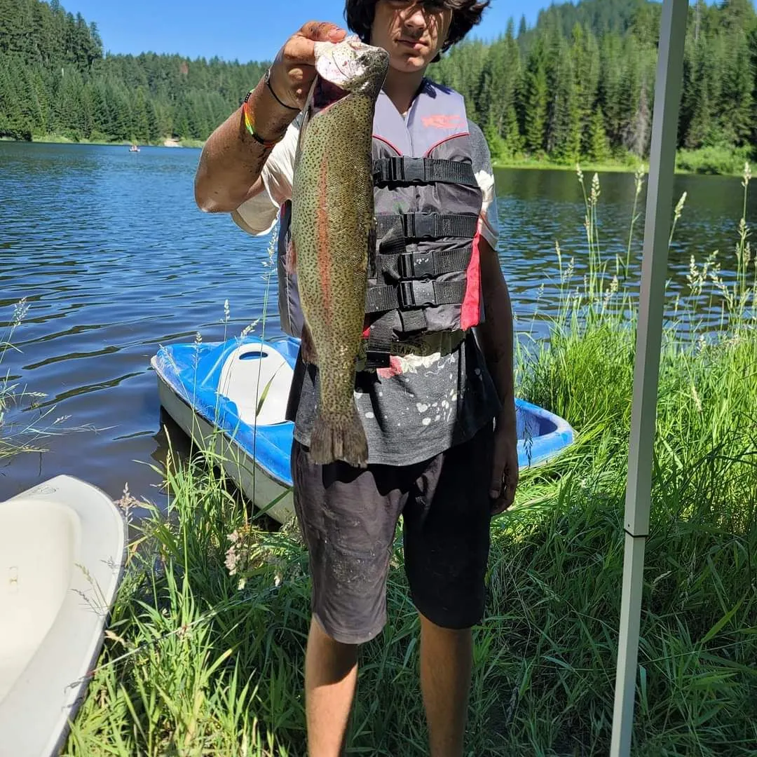 ᐅ Hemlock Lake fishing reports🎣• Glide, OR (United States) fishing