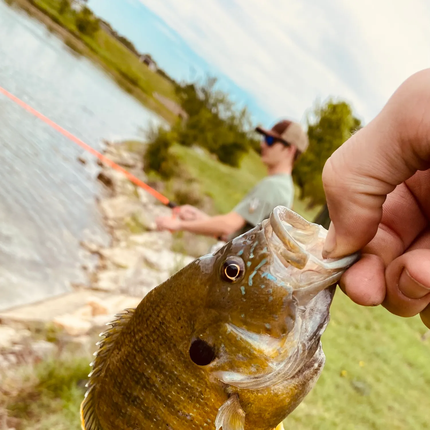 Fishing in Wichita, KS (United States) ️️️️ Find Spots, Species & Tips