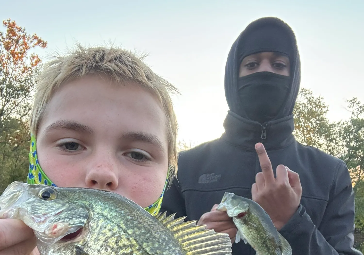 ᐅ Kent Lake fishing reports🎣• Wixom, MI (United States) fishing
