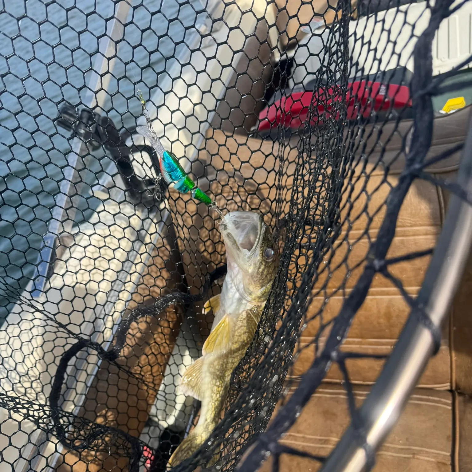 ᐅ Pine Coulee Reservoir fishing reports🎣• Alberta, Canada fishing