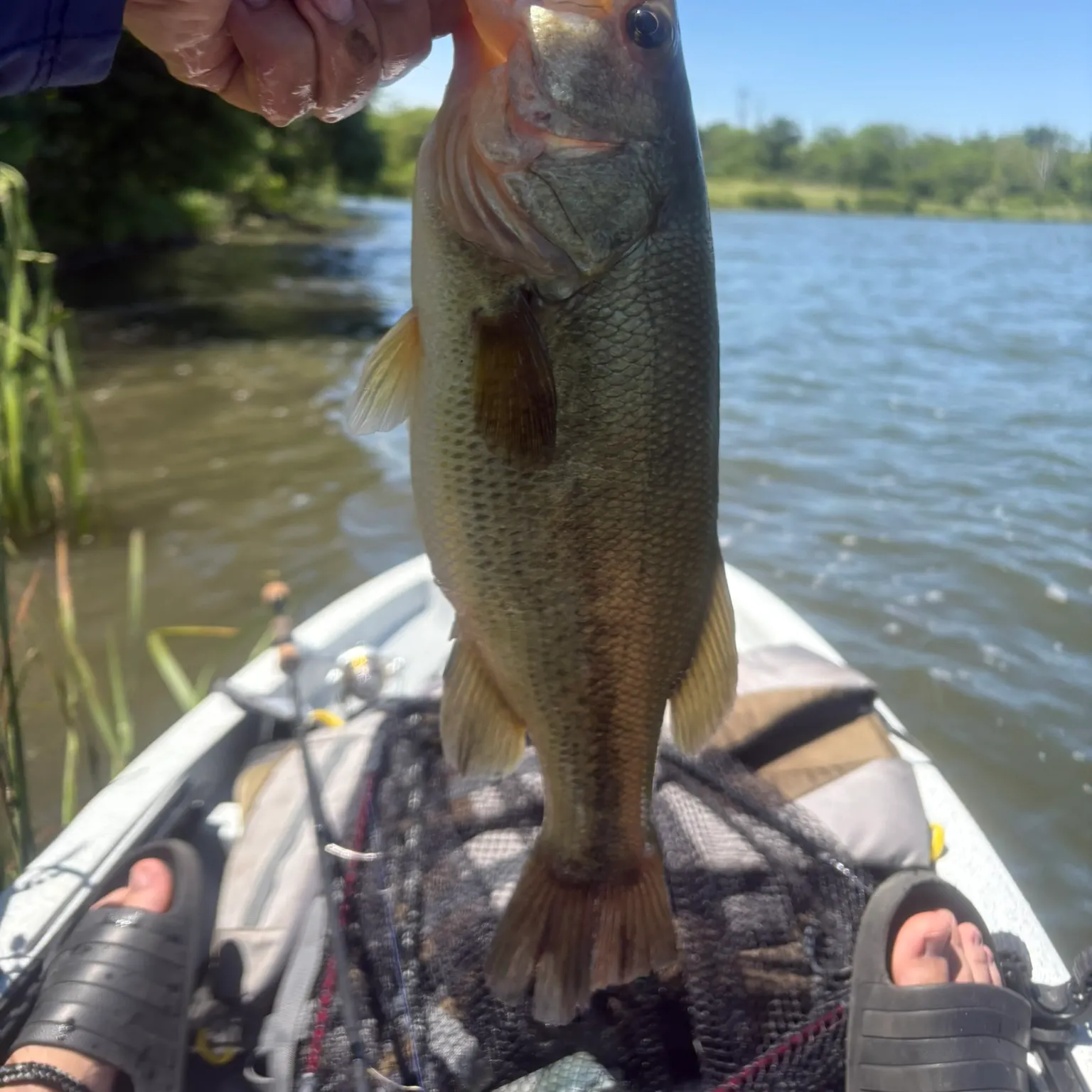 ᐅ Tampier Lake fishing reports🎣• Palos Park, IL (United States) fishing