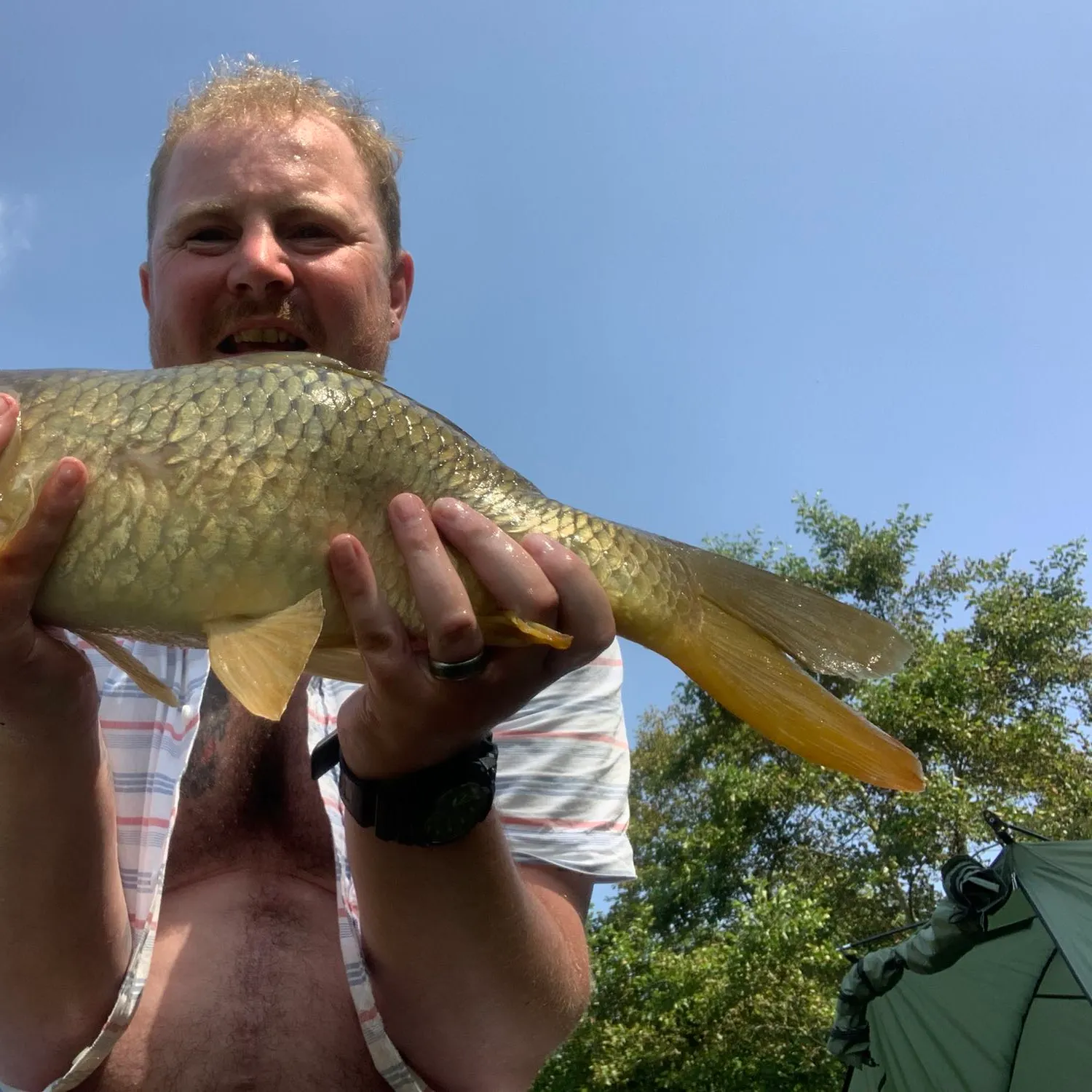 ᐅ Tarvin Sands Fishery fishing reports🎣• England, United Kingdom fishing