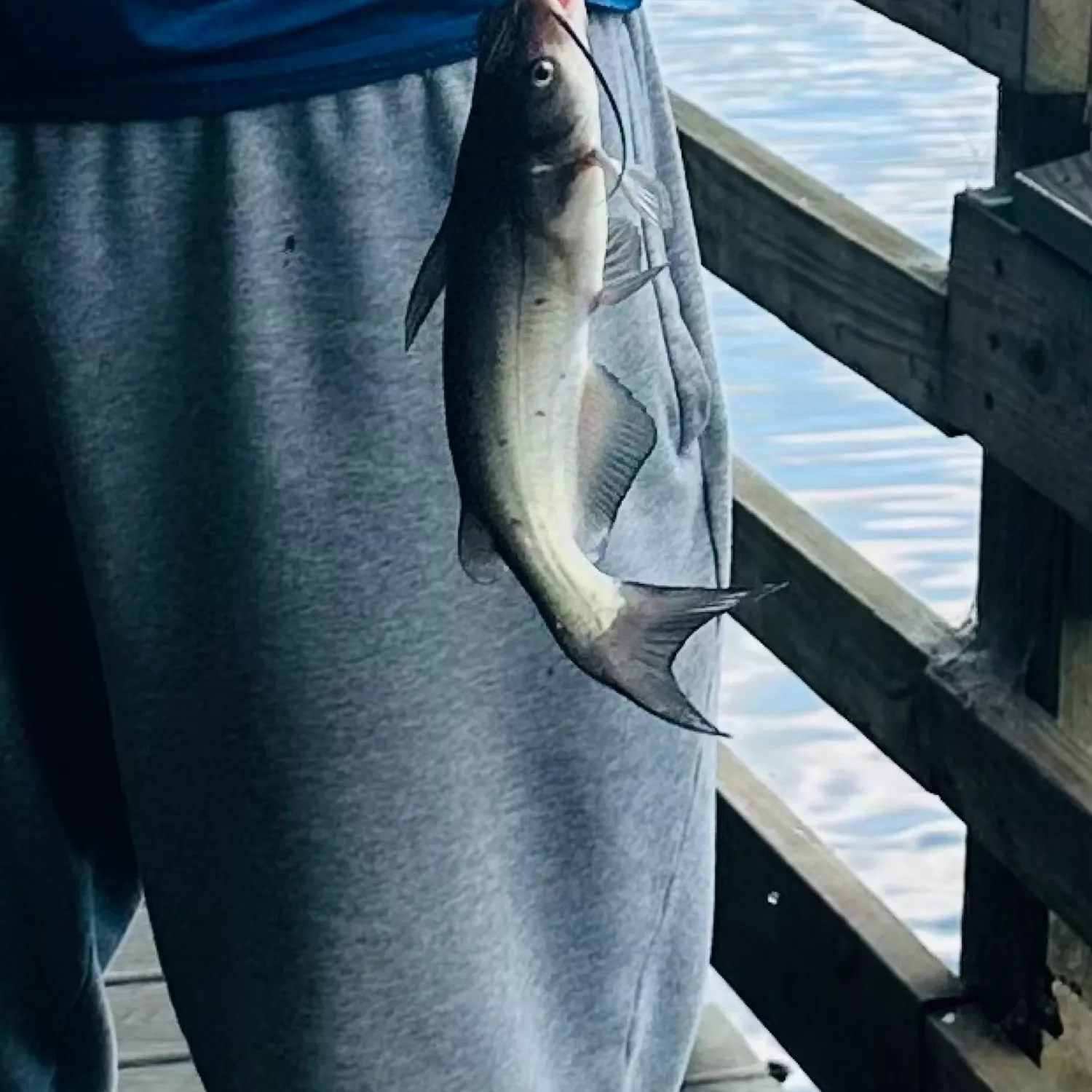 Fishing in Raleigh, NC (United States) ️️️️ Find Spots, Species & Tips