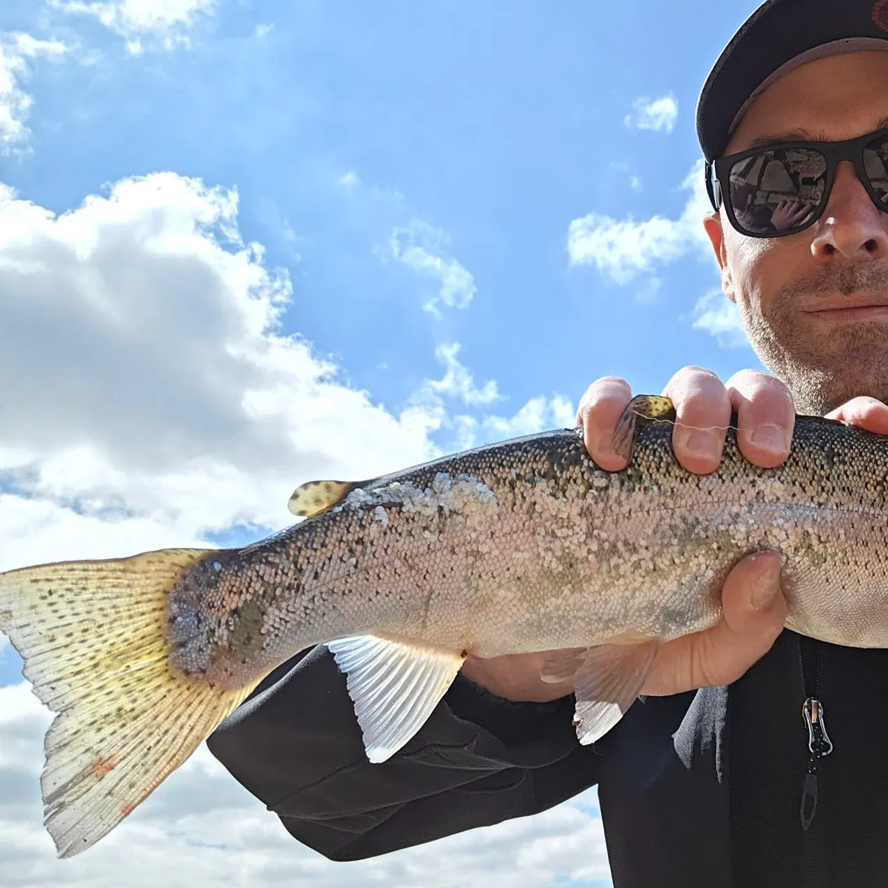 ᐅ Carter Lake Reservoir fishing reports🎣• Loveland, CO (United States ...