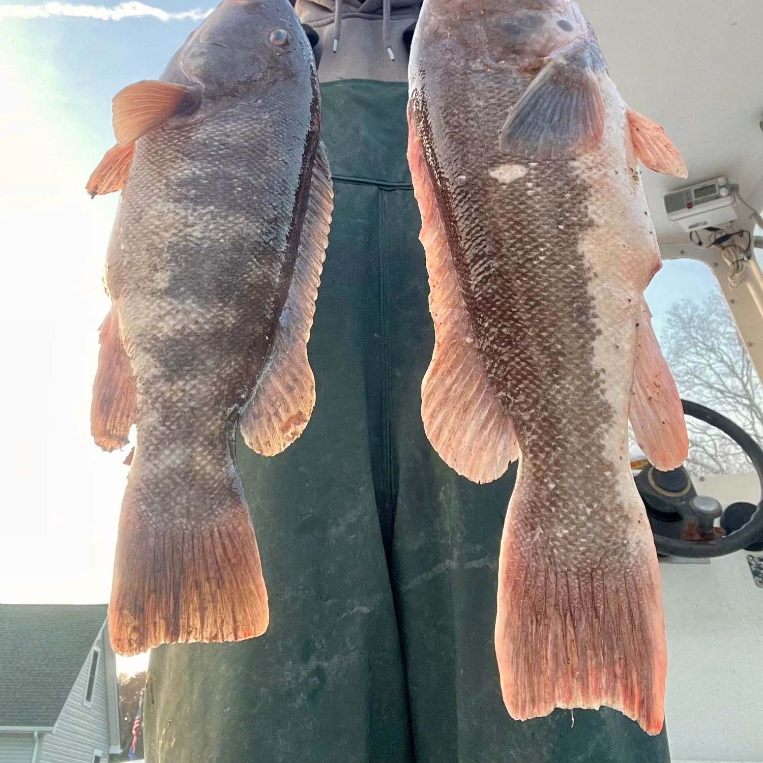 ᐅ Indian River Inlet fishing reports🎣• Ocean View, DE (United States ...