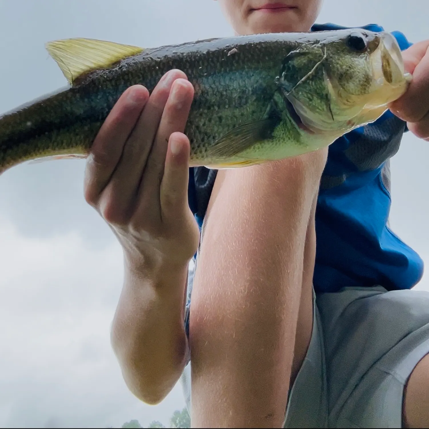 Fishing in Indianapolis, IN (United States) ️️️️ Find Spots, Species & Tips