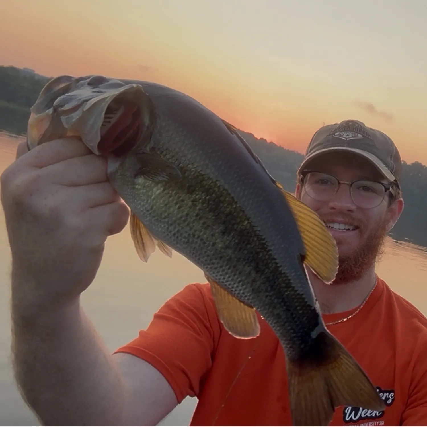 Fishing in Raleigh, NC (United States) ️️️️ Find Spots, Species & Tips